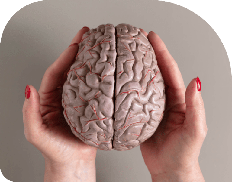 CSF Disorders - Macquarie Neurosurgery & Spine