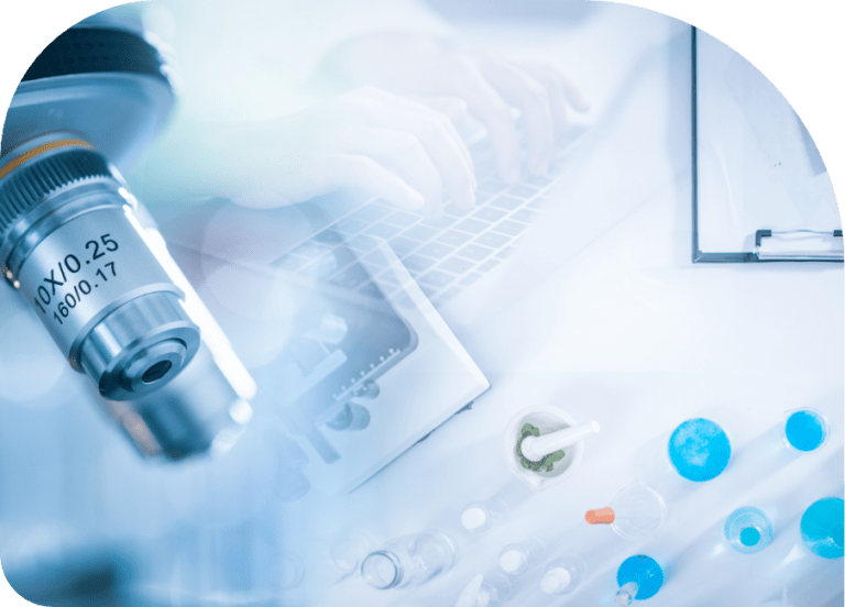 Research team and Scholars - Macquarie Neurosurgery & Spine